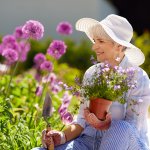 Healthy Springtime Activities for Seniors - Home Care Tips & How to`s